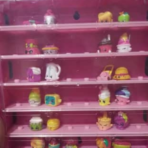 Shopkins | Toys | Shopkins And Shopkins Case | Poshmark